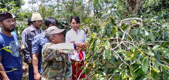 PENINGKATAN PRODUKSI MELALUI PEMANGKASAN DAN PEMBUATAN RORAK - Dinas ...