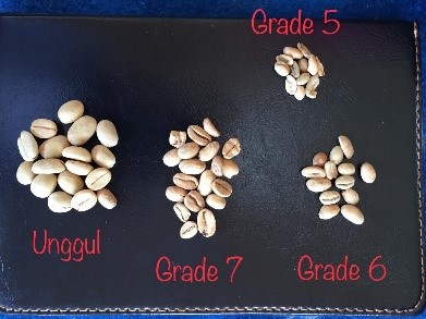 PENINGKATAN PRODUKSI MELALUI PEMANGKASAN DAN PEMBUATAN RORAK - Dinas ...