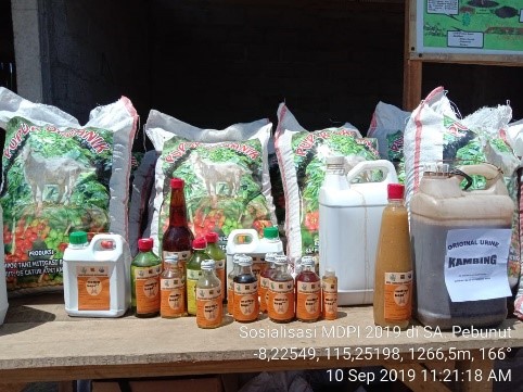 PENINGKATAN PRODUKSI MELALUI PEMANGKASAN DAN PEMBUATAN RORAK - Dinas ...