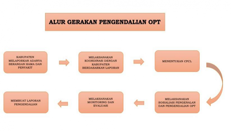 Pelayanan UPTD. Balai Perlindungan Tanaman Pangan Hortikultura dan ...